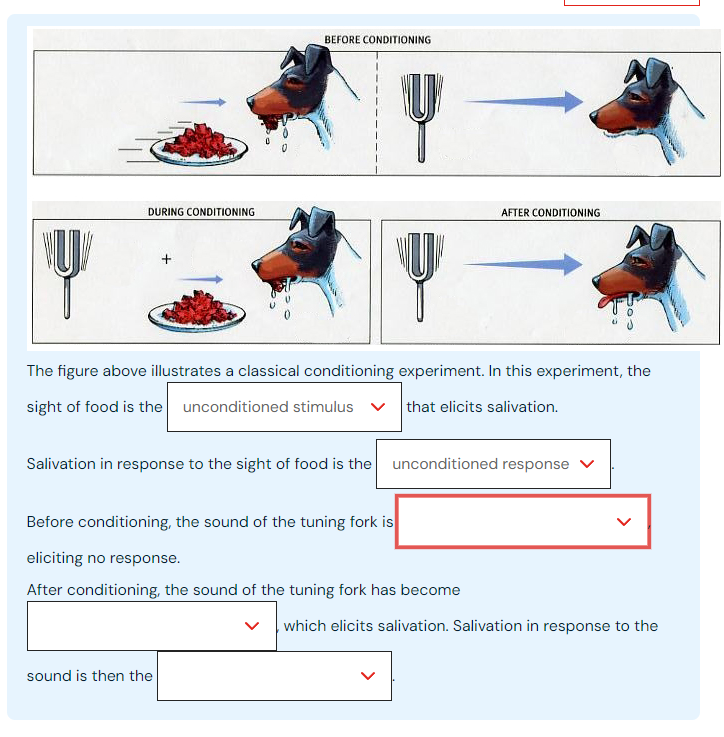 Solved The figure above illustrates a classical conditioning | Chegg.com Solved The figure above illustrates a classical conditioning | Chegg.com