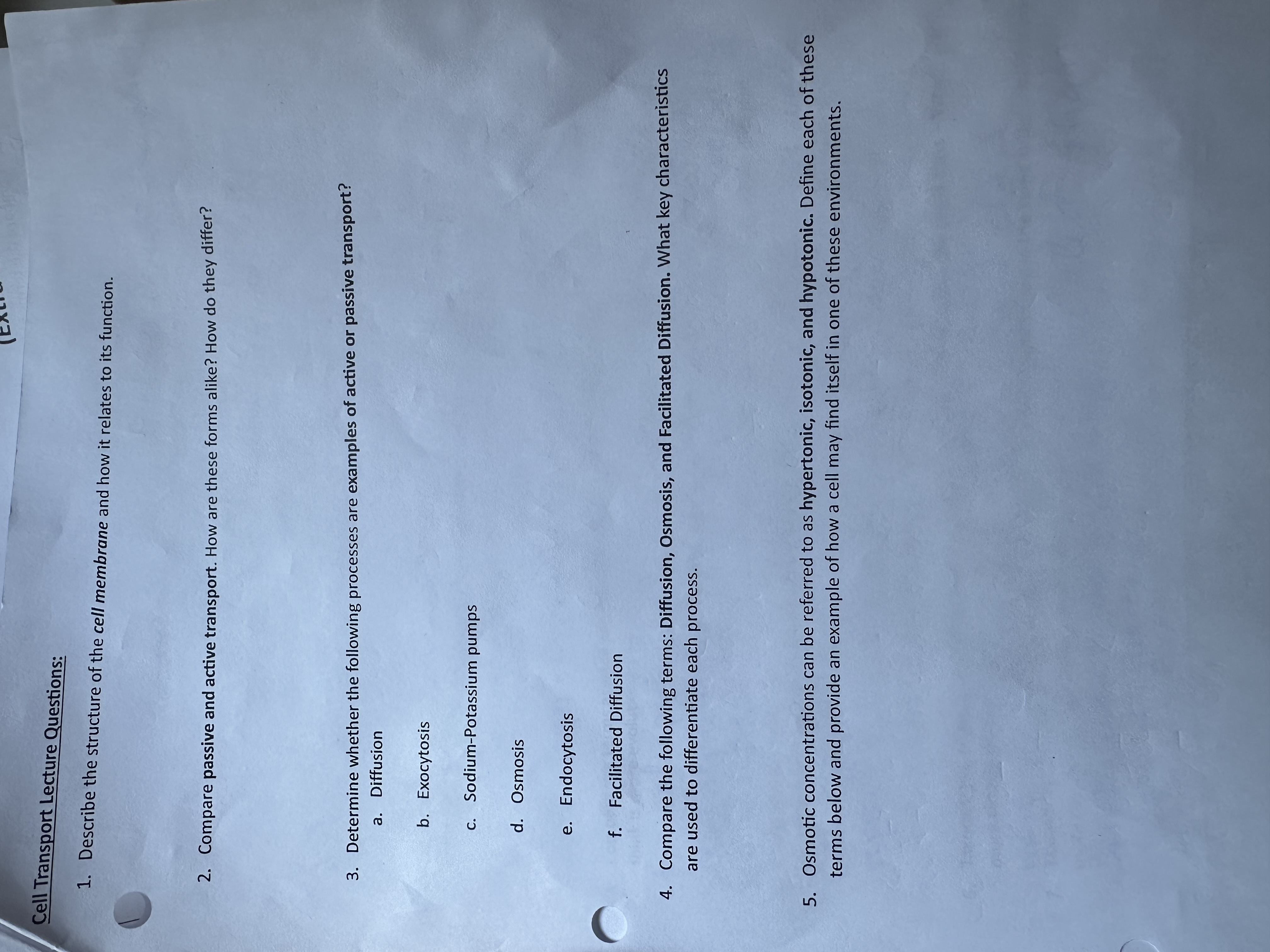 Solved Cell Transport Lecture Questions: 1. ﻿Describe the | Chegg.com