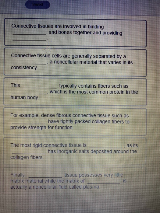 Solved Saved Connective tissues are involved in binding and | Chegg.com