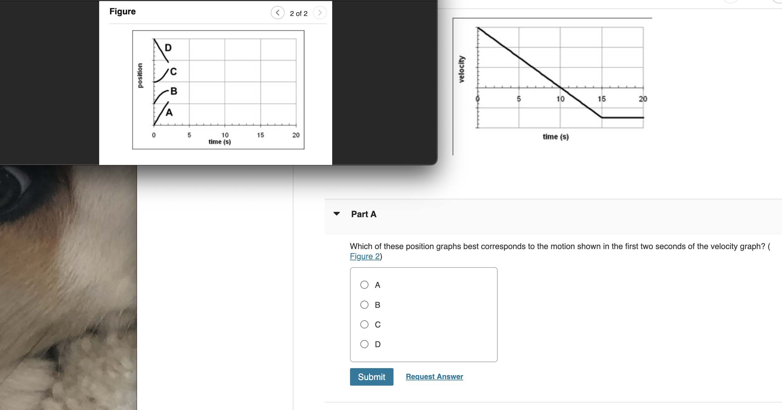 Solved Part AWhich of these position graphs best corresponds | Chegg.com