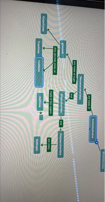 Solved Include the following terms on your concept map. | Chegg.com