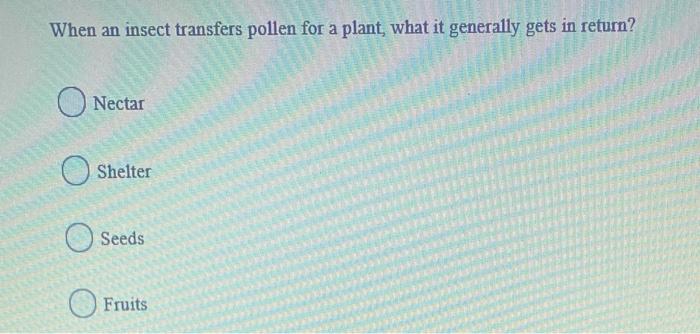 Solved When an insect transfers pollen for a plant, what it | Chegg.com