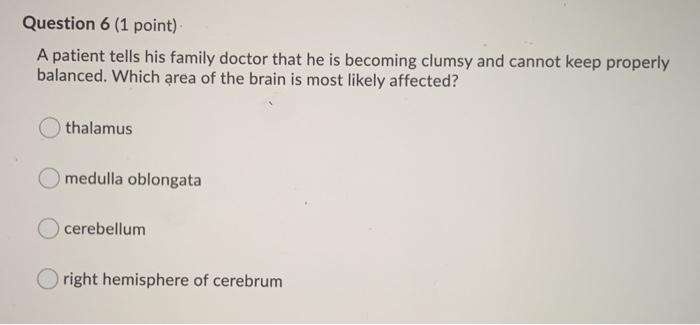 Solved Question 4 (1 point) Cerebrospinal fluid flows | Chegg.com