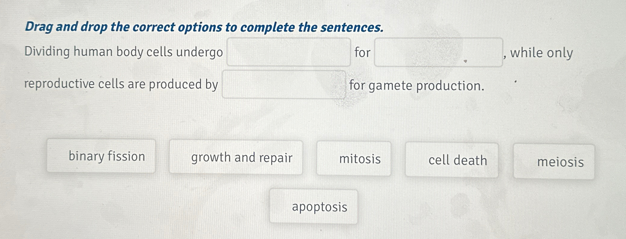 Solved Drag and drop the correct options to complete the | Chegg.com