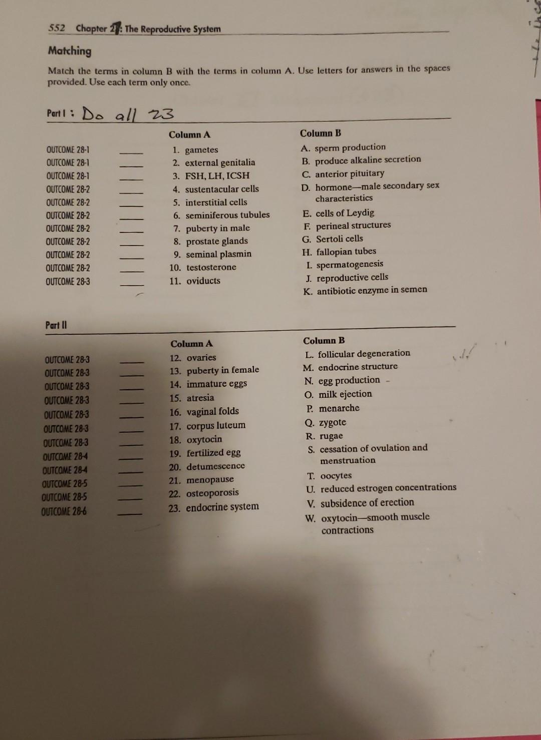 Solved 552 Chapter 21: The Reproductive System Matching | Chegg.com