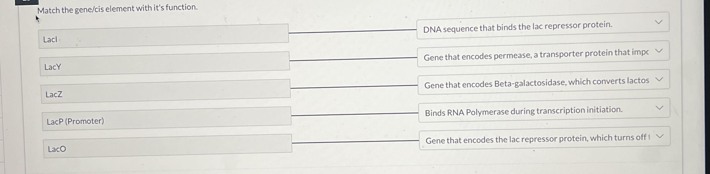 Solved Match the gene/cis element with it's | Chegg.com