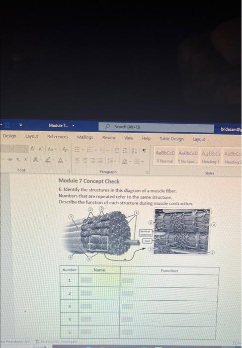 Solved Module 7.... Design Layout References Mailings Review | Chegg.com