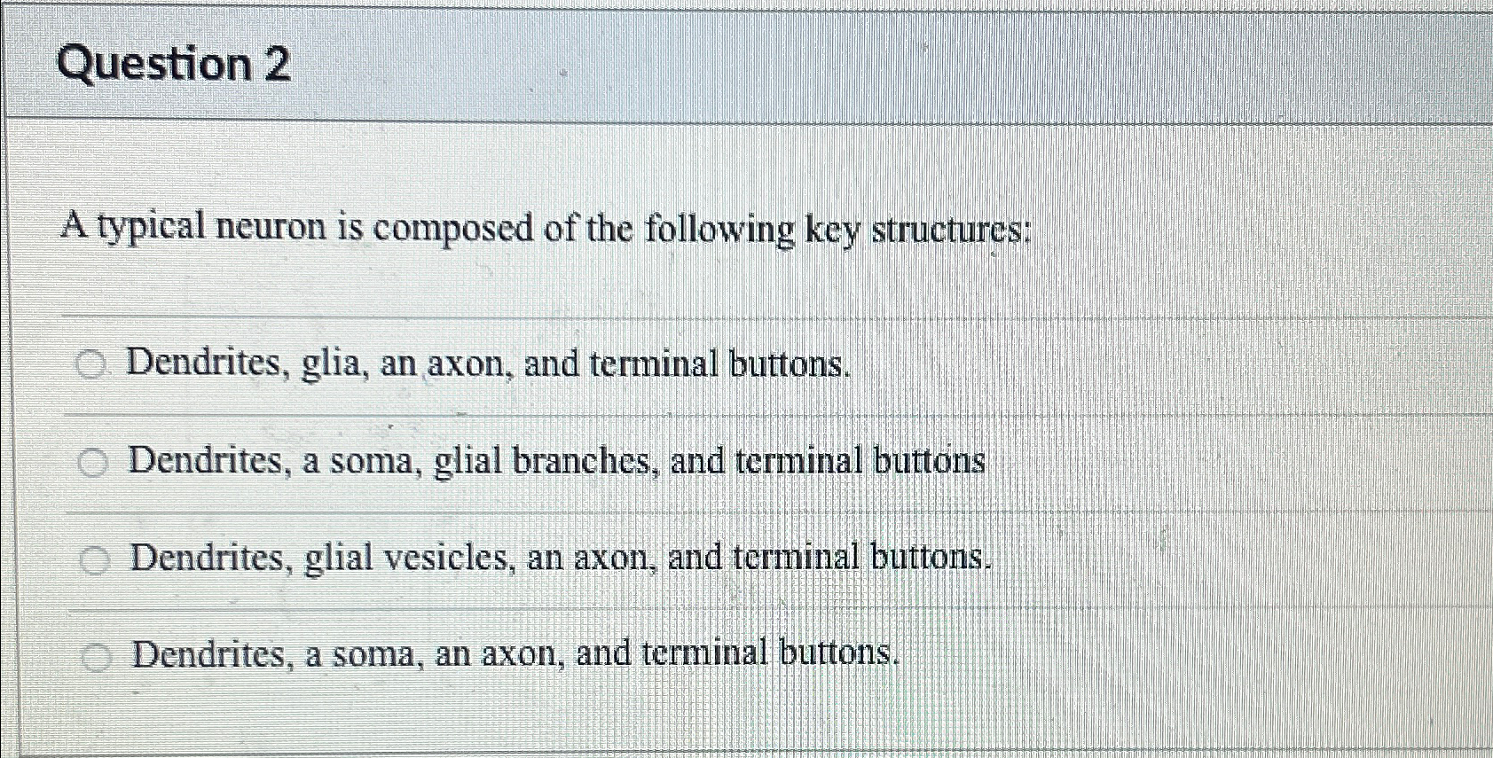 Solved Question 2A typical neuron is composed of the | Chegg.com