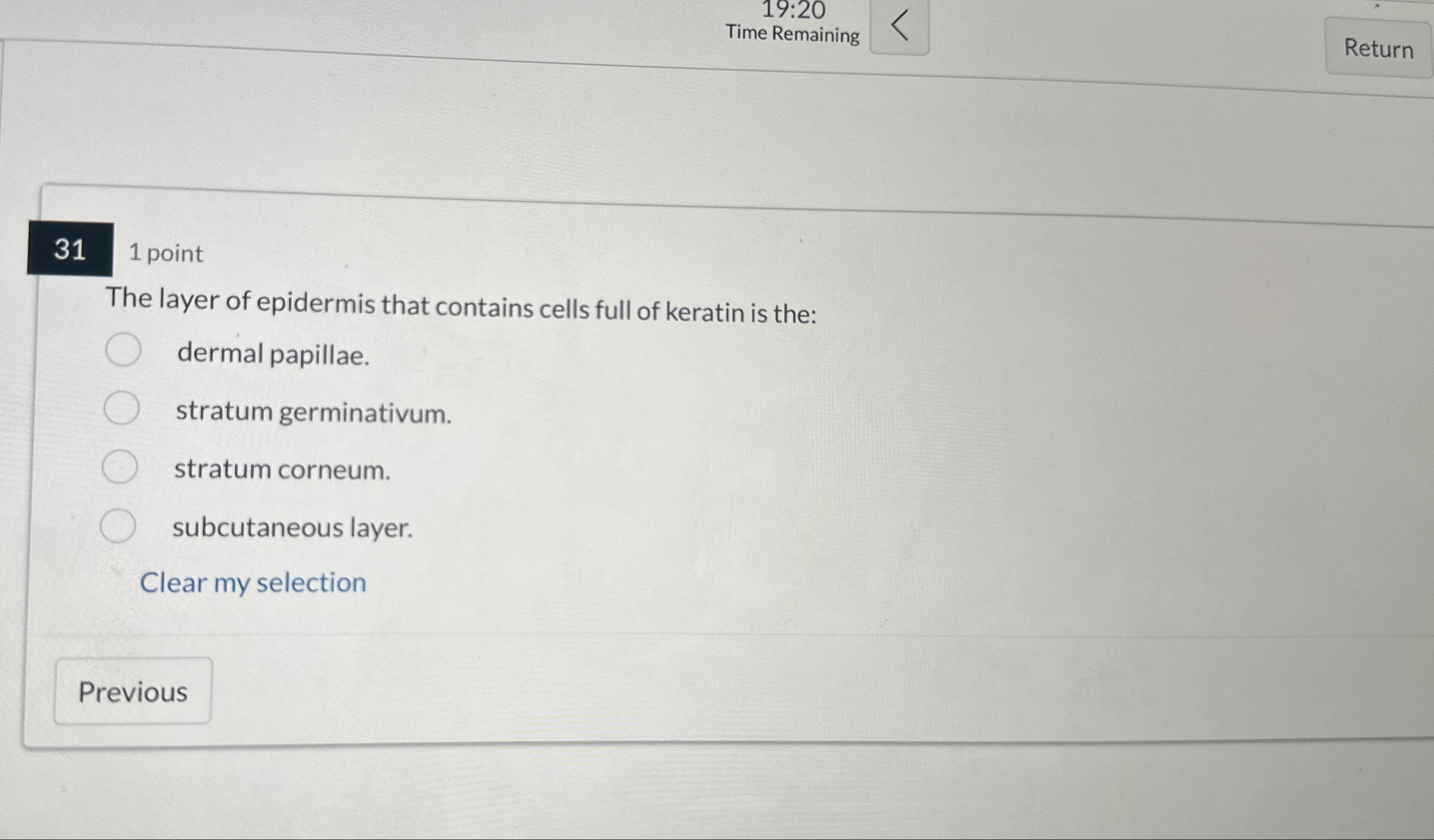 Solved 311 ﻿pointThe layer of epidermis that contains cells | Chegg.com