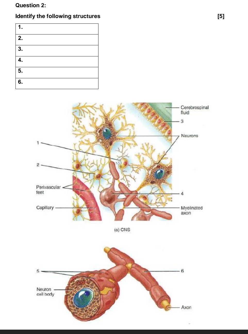 Solved Question 2:Identify the following | Chegg.com