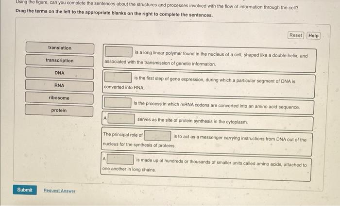 Solved Using the figure, can you complete the sentences | Chegg.com