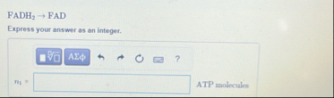 Solved EnterFADH2→FADExpress your answer as an integer.n1= | Chegg.com