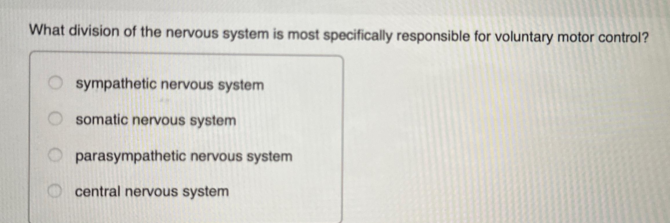 Solved What division of the nervous system is most | Chegg.com