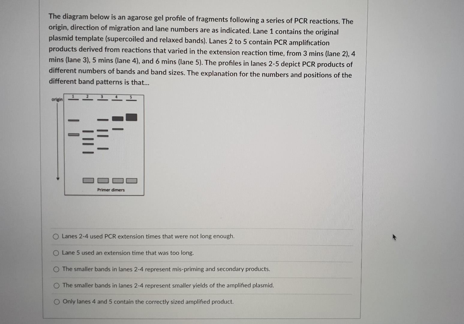 Solved The diagram below is an agarose gel profile of | Chegg.com