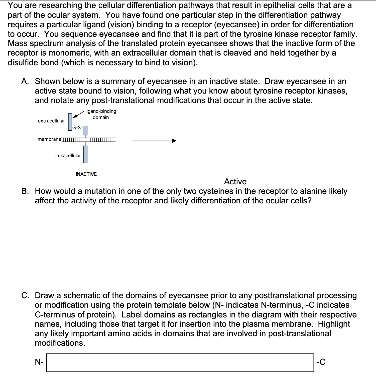 Solved Please answer every single question! thankyou | Chegg.com