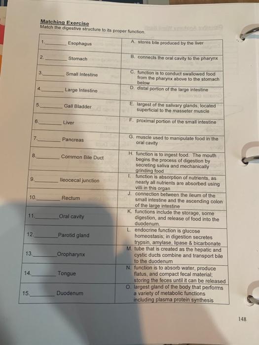 Solved Matching Exercise Match the digestive structure to | Chegg.com