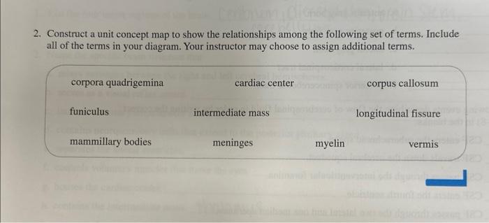 Solved 2. Construct a unit concept map to show the | Chegg.com