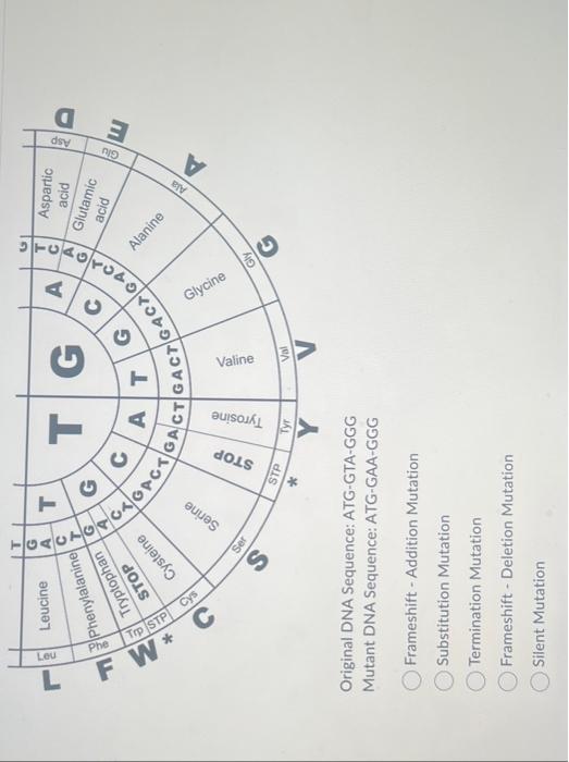 Solved Identify which type of mutation this DNA change is, | Chegg.com