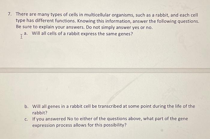 Solved 7. There are many types of cells in multicellular | Chegg.com
