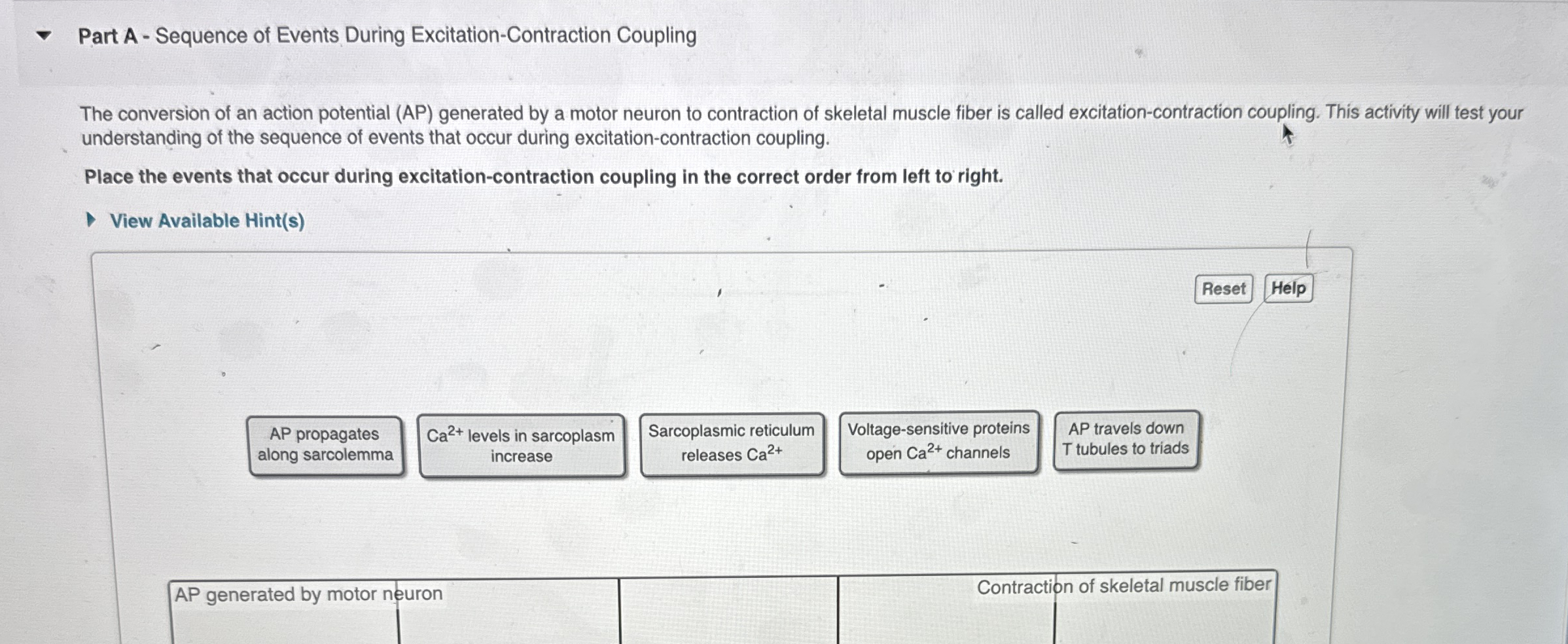 Solved Part A - ﻿Sequence of Events During | Chegg.com