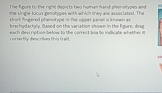 Solved The figure to the right depicts two human hand | Chegg.com