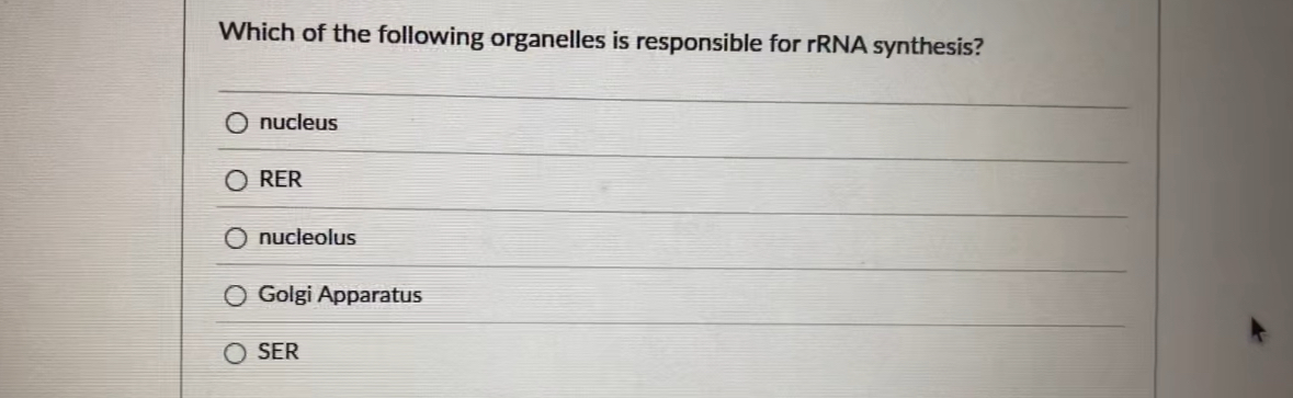 Solved Which of the following organelles is responsible for | Chegg.com
