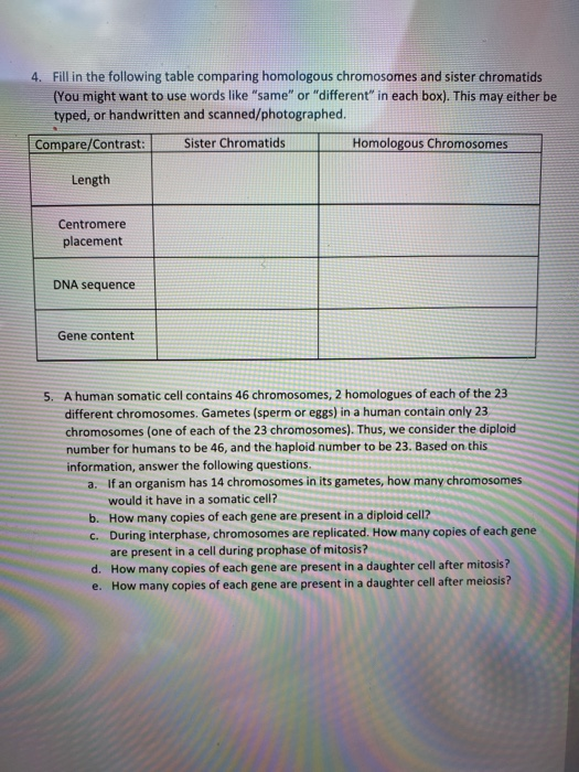 Solved : 1. Draw out the process of mitosis by hand, | Chegg.com