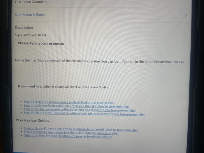 Solved Submission \& Rubric Description Sep 5,2023 at 7:38 | Chegg.com