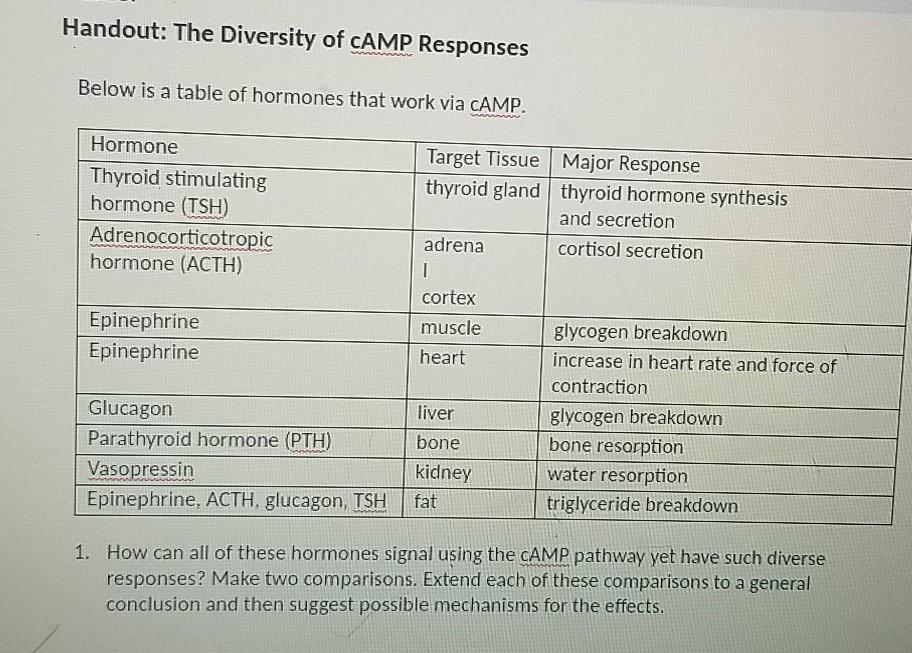 Solved Handout: The Diversity of CAMP Responses Below is a | Chegg.com