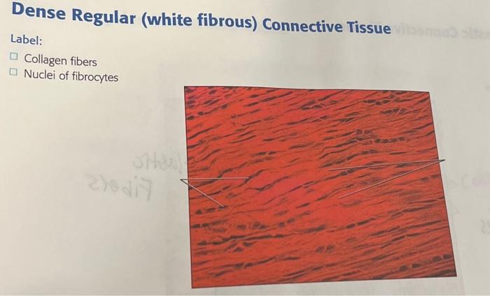 Must be labeled | Chegg.com