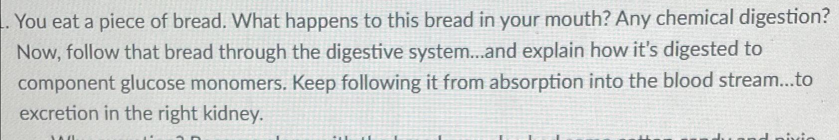Solved You eat a piece of bread. What happens to this bread | Chegg.com