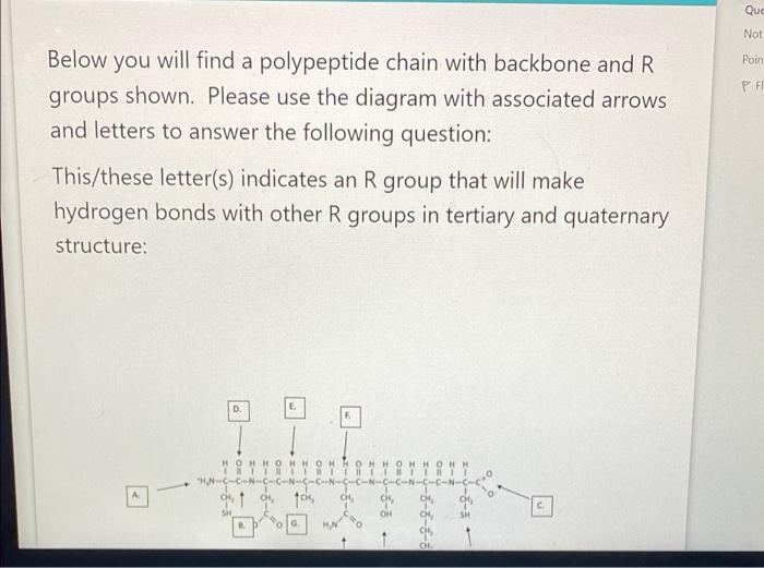 Solved Que Not Poin PFI Below you will find a polypeptide | Chegg.com