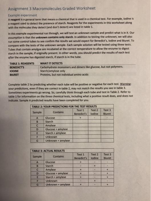 Solved Assignment 3 Macromolecules Graded Worksheet Example | Chegg.com