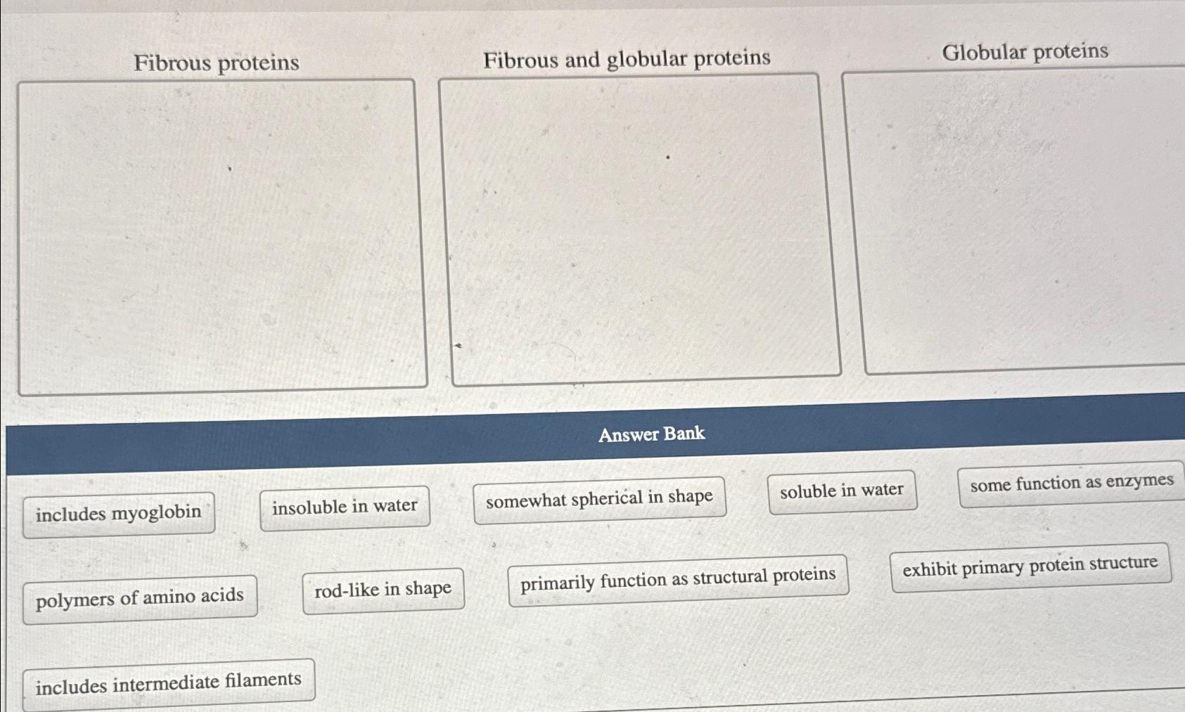 Solved Fibrous proteinsFibrous and globular proteinsGlobular | Chegg.com