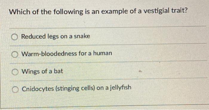 Solved Which of the following is an example of a vestigial | Chegg.com