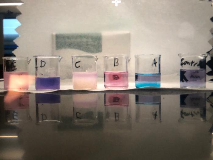 Solved EXPERIMENT: CHEMICAL EQUILIBRIA AND LE CHÂTELIER'S | Chegg.com