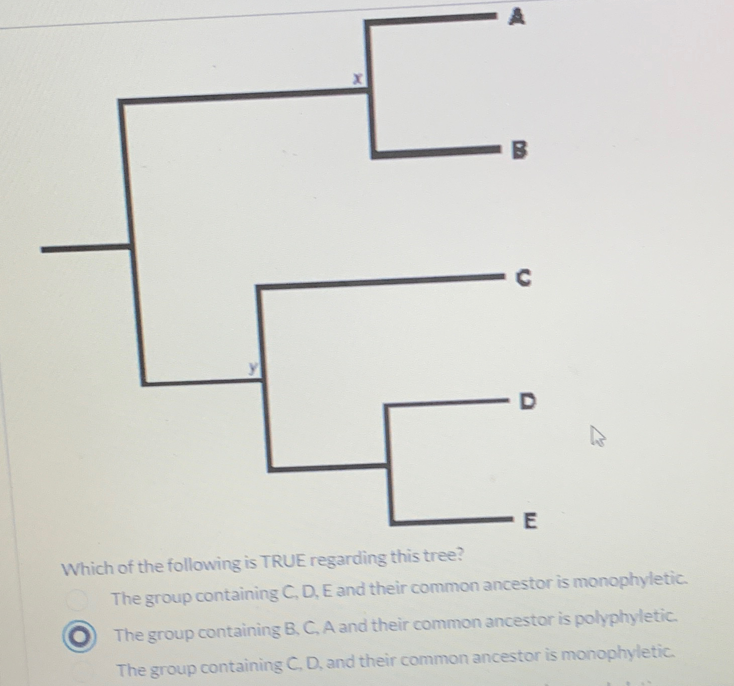 Solved Which of the following is TRUE regarding this | Chegg.com