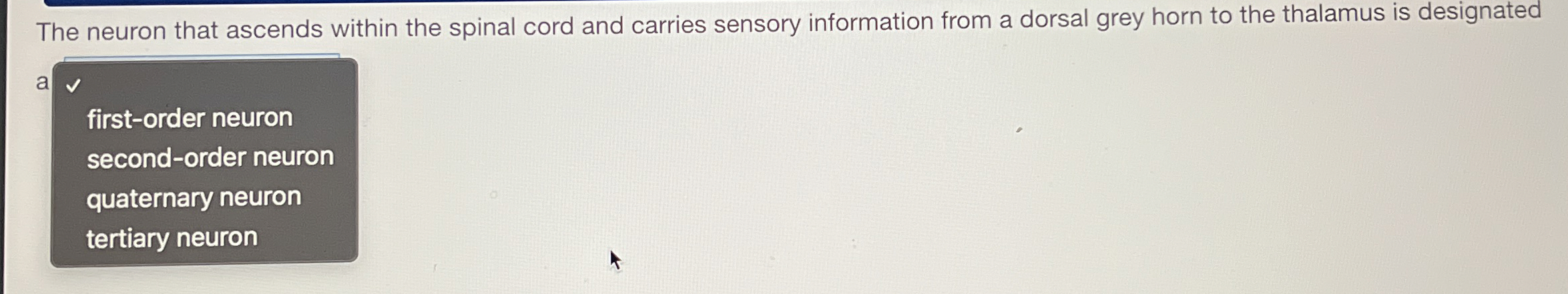 Solved The neuron that ascends within the spinal cord and | Chegg.com