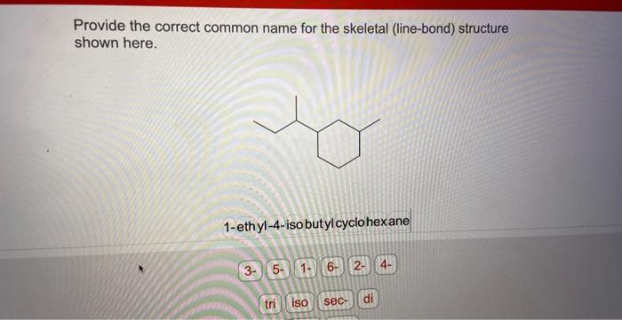 Solved Provide the correct common name for the skeletal | Chegg.com