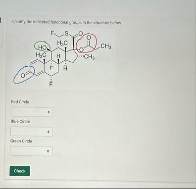 Solved Identify the indicated functional groups in the | Chegg.com