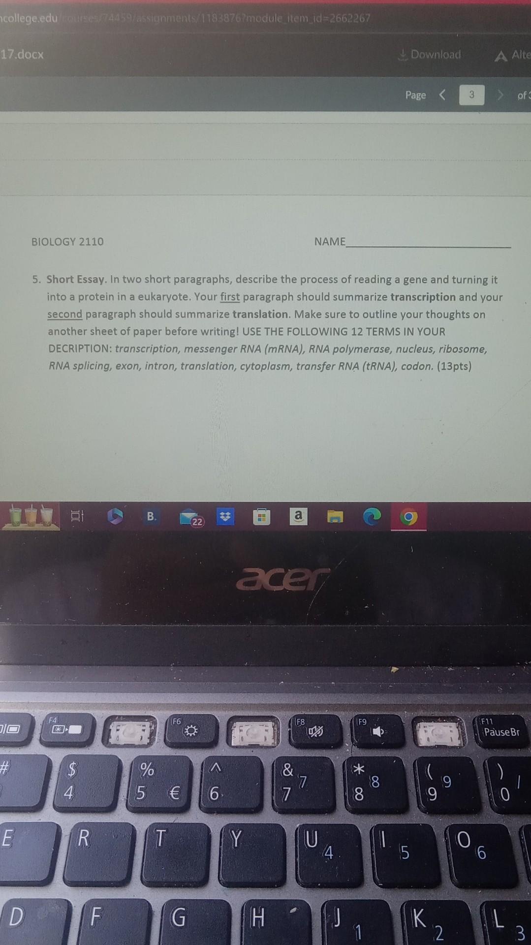 Solved 5. Short Essay. In two short paragraphs, describe the | Chegg.com