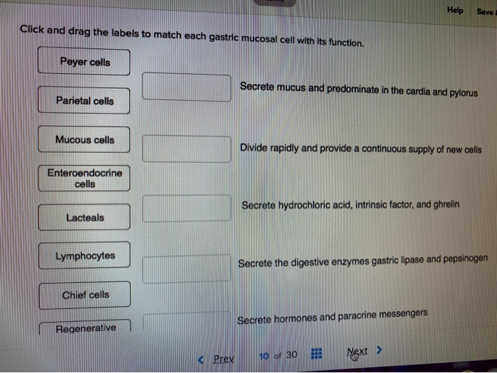 Solved Help Save Click and drag the labels to match each | Chegg.com