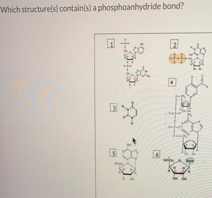 Solved Which structure(s) contain(s) a phosphoanhydride | Chegg.com