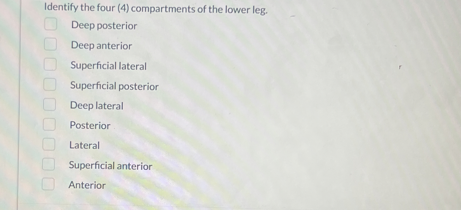 Solved Identify the four (4) ﻿compartments of the lower | Chegg.com