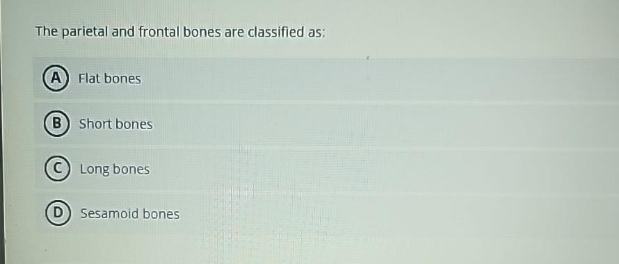 Solved The parietal and frontal bones are classified as:Flat | Chegg.com