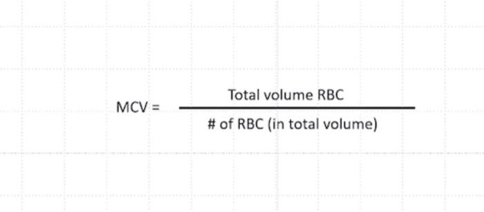 Solved - RBC count is 5×106/ul - 100ml of blood 40%MCV= # of | Chegg.com