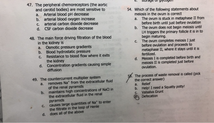 Solved 47. The peripheral chemoreceptors (the aortic and | Chegg.com