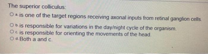 Solved Recognition of individual objects: O a. occurs in V1. | Chegg.com