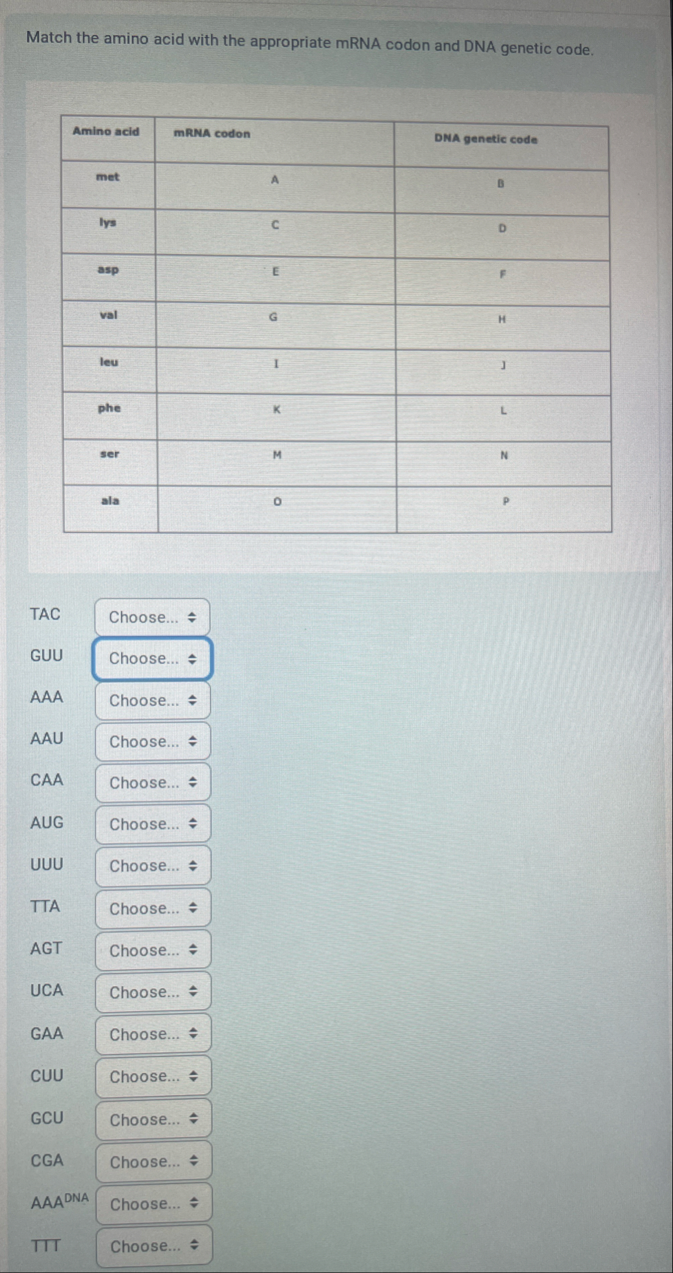 Solved Match the amino acid with the appropriate mRNA codon | Chegg.com
