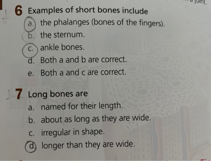 Solved 6 Examples of short bones include a.) the phalanges | Chegg.com
